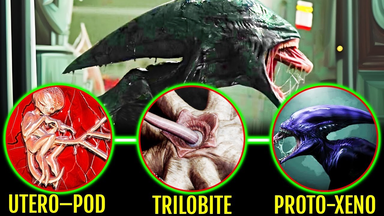 Proto-Xenomorph Entire Life Cycle Explained In Detail - The Creature ...