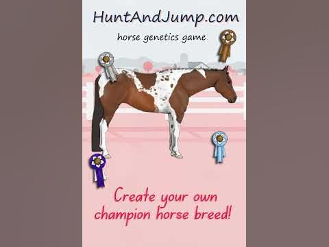 Create your dream horse with the horse genetics game - YouTube