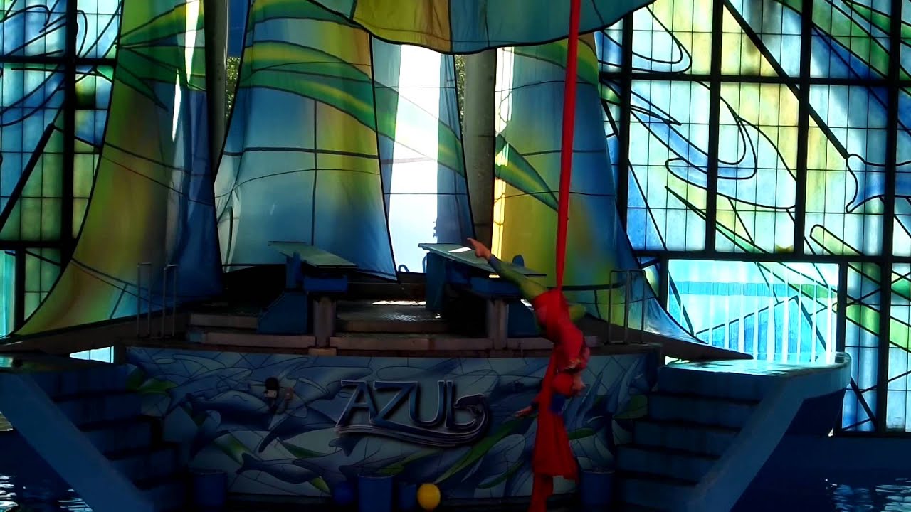 Azul at Seaworld SA - YouTube