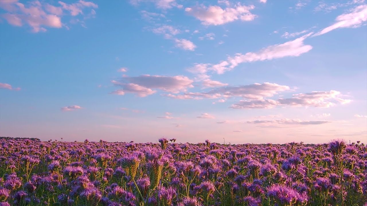 jessica benko - a soulmate who who wasn't meant to be (slowed w ...