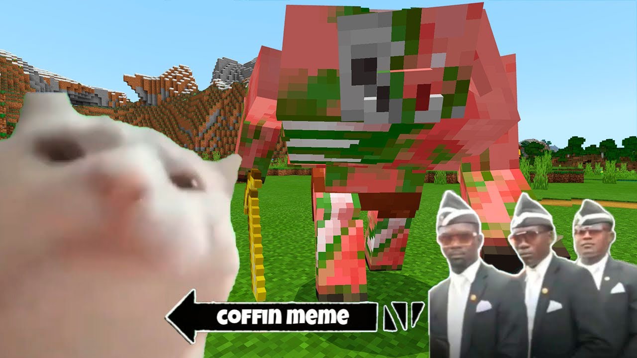 Coffin Meme but Cat is Vibing Part 8 - Minecraft - YouTube