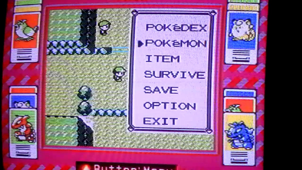 Pokémon red and gym leader Brock - YouTube
