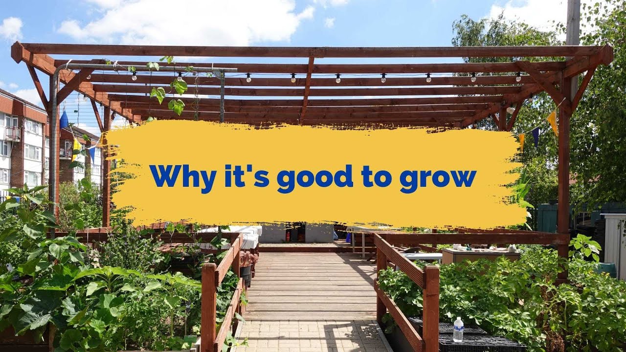 The Benefits of Food Growing - St. Raphael's Edible Garden - YouTube