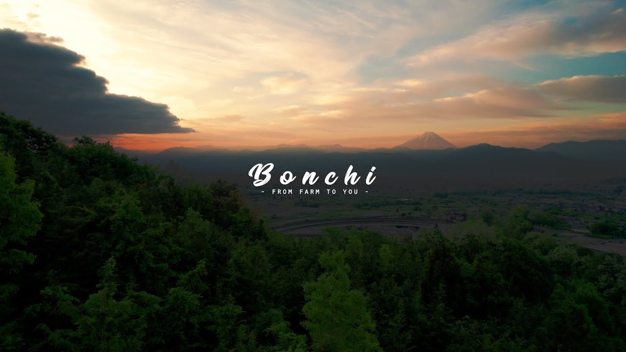 【公式】Bonchiブランドムービー | 果物は人を幸せにする | Brand Movie 4K - YouTube