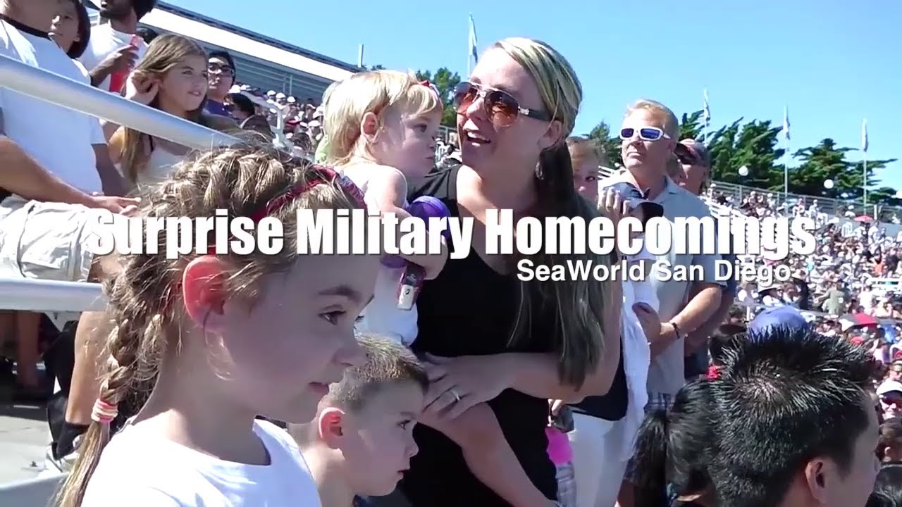 Surprise Military Homecomings (Compilation) - SeaWorld San Diego - YouTube