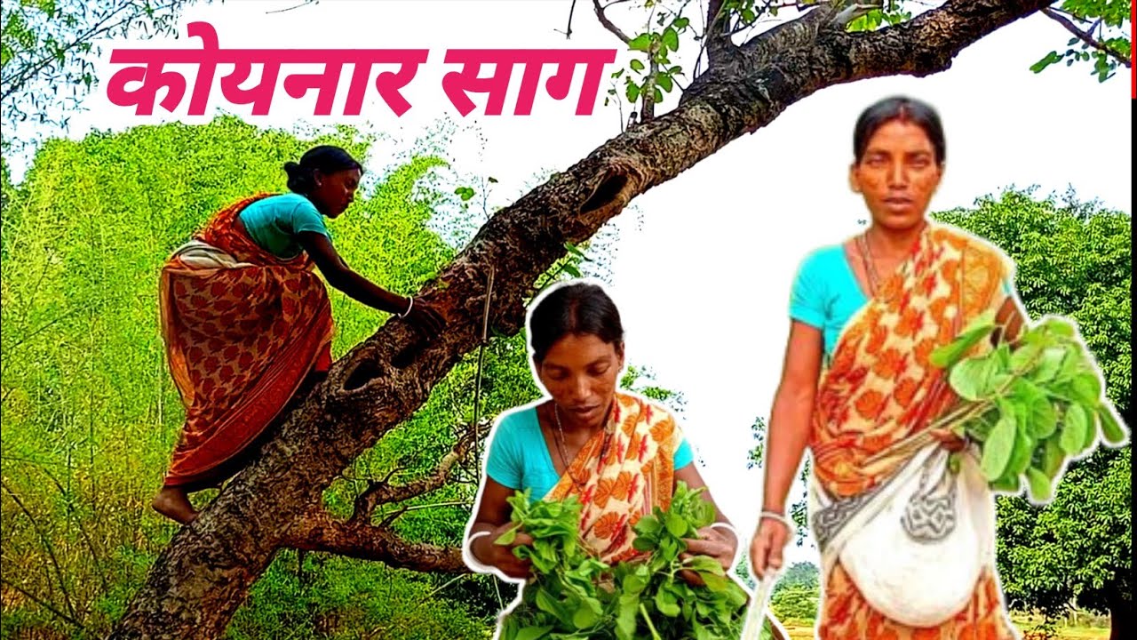 कोयनार साग / koinar saag / koinar sabji / jharkhand food l #koinar ...