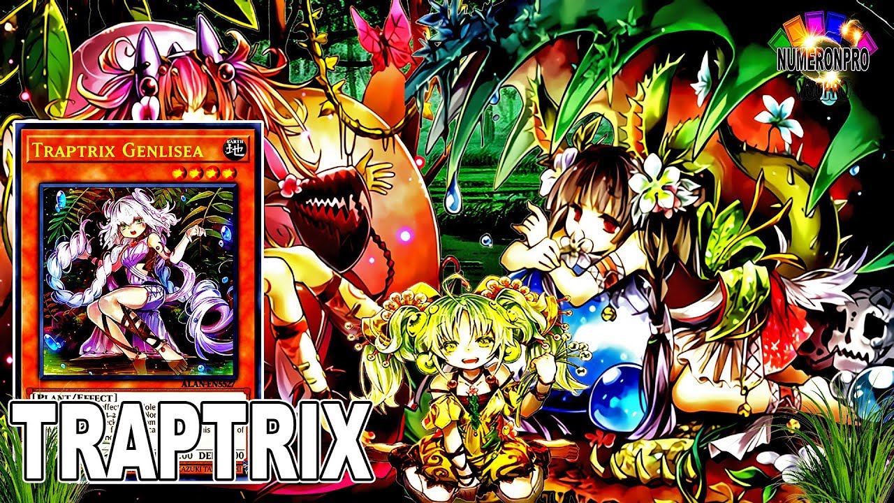 【YGOPRO】TrapTrix Deck New Support Card Traptrix Genlisea Yugioh! 2020 ...