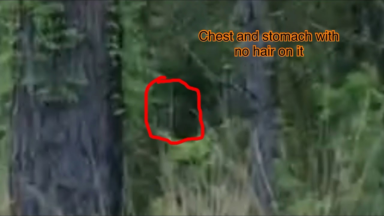 MBEST MBVD ( Movement at the Rally ) - YouTube