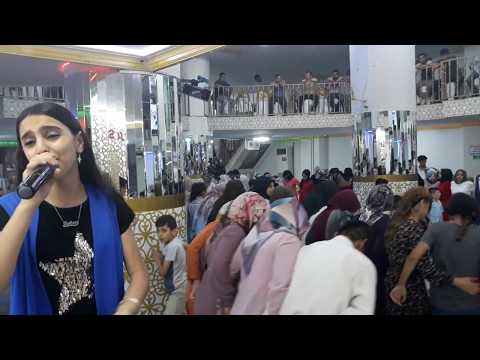 BERFÎN MİRMEND DELİLO. KÜRTÇE HALAY