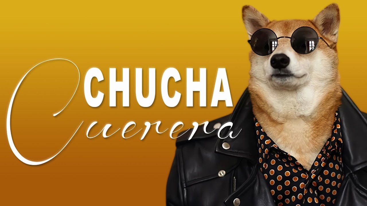 Léxico de México CHUCHA CUERERA - YouTube