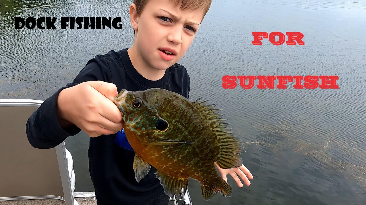 Dock Fishing for Sunfish - YouTube