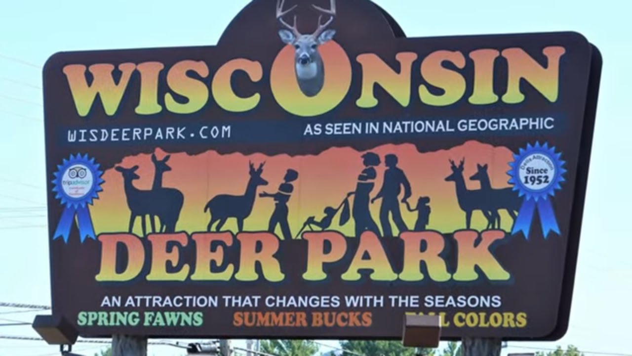 Feeding The Deer At Wisconsin Deer Park In Wisconsin Dells - YouTube