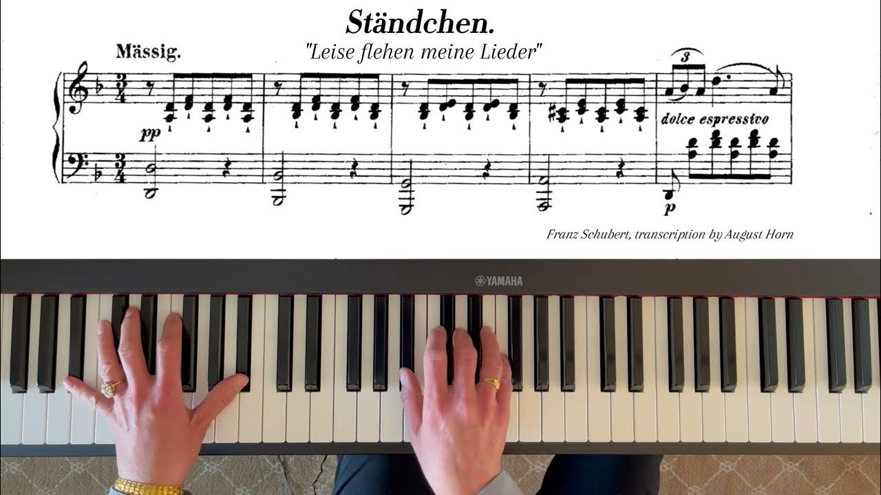 Serenade - Ständchen D957 Schubert | Piano Solo with sheet music - YouTube