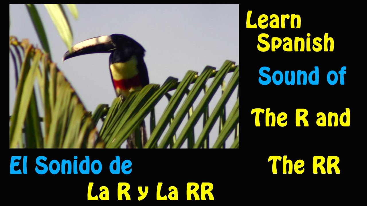Learn Spanish How Make R And RR Sound In Spanish YouTube learn-spanish-how-make-r-and-rr-sound-in-spanish-youtube