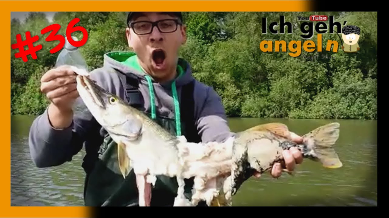 Der geheime See | Hecht Angeln in Ostfriesland - YouTube