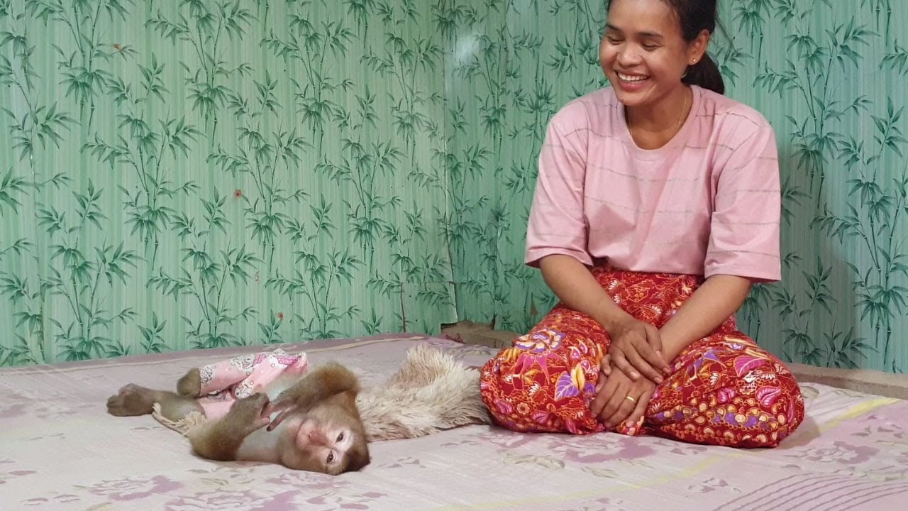 What mom laugh to monkey Koko, Koko fun activity playing /Koko&Yoko ...