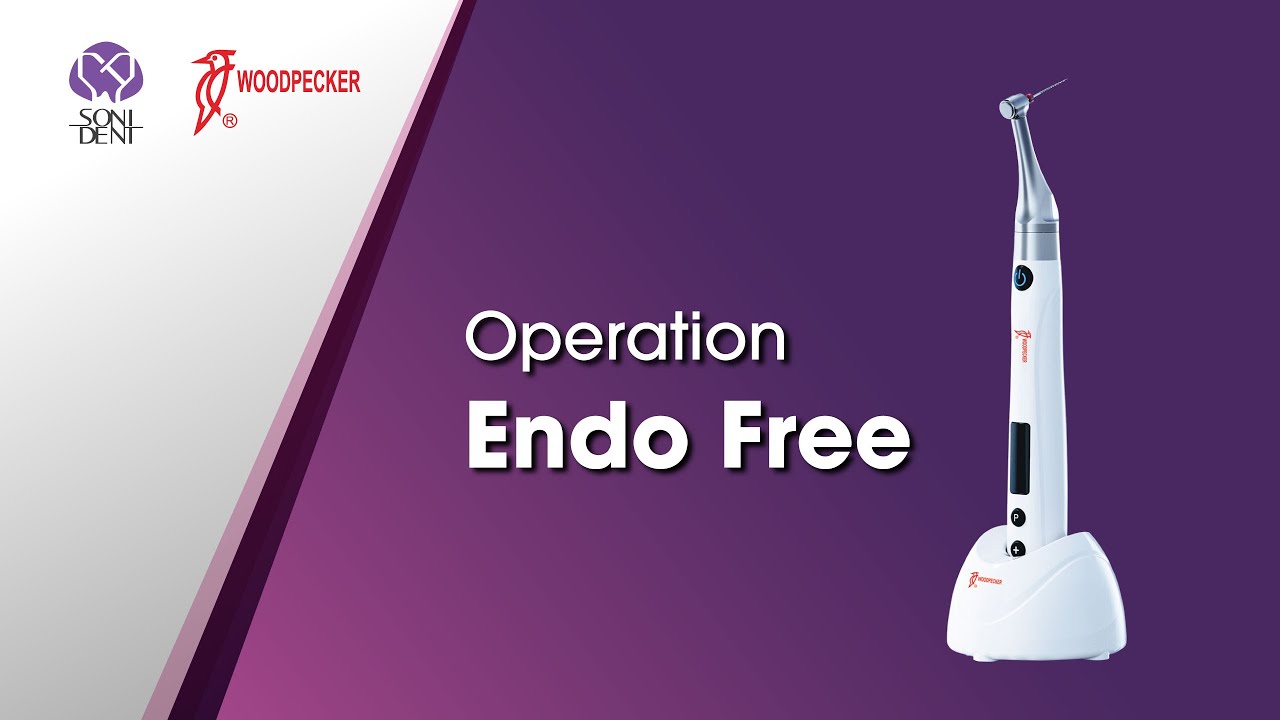 Woodpecker / DTE Endo Motor: Endo Free (Operation Demonstration) # ...