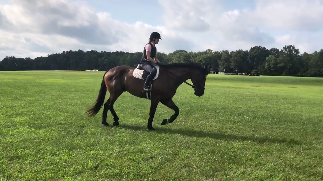 Rady flat work - YouTube