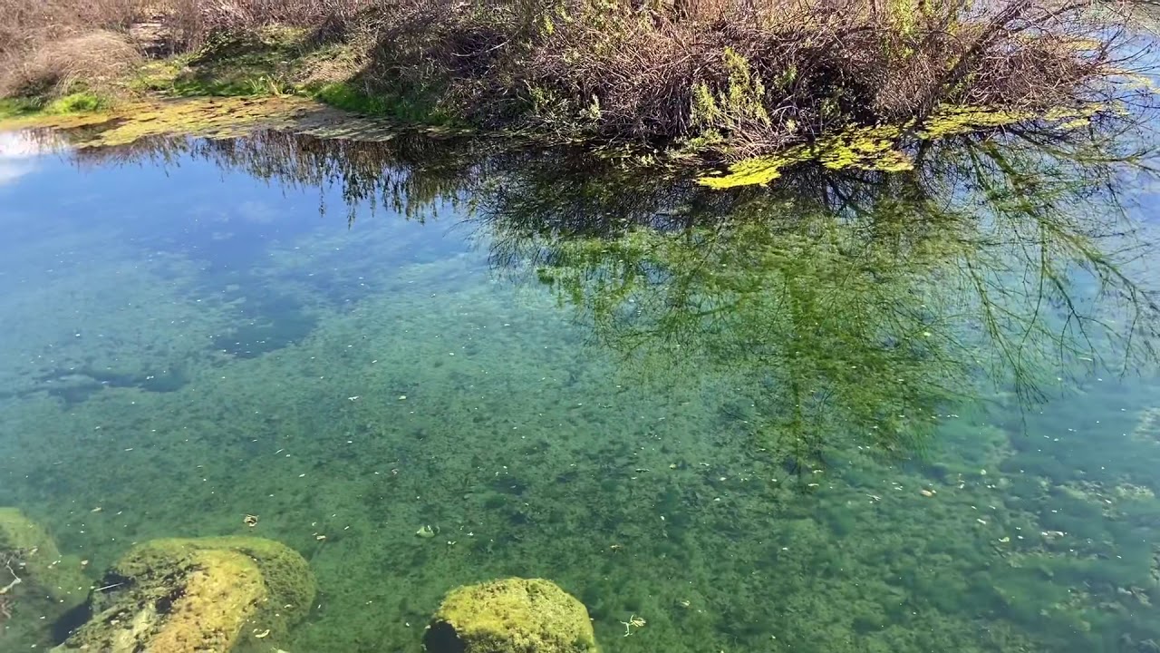 BEAUTIFUL SOLVANG RIVER IN CALIFORNIA PART 1 😍 - YouTube
