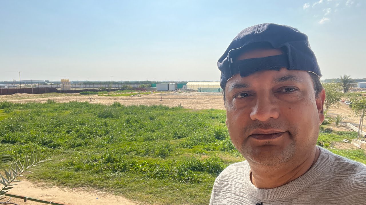 A Simple Vegetables Farm in Wafra, Kuwait - YouTube
