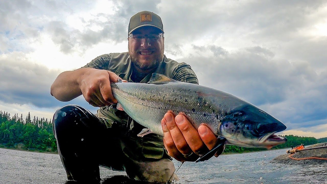 Salmon Fishing in Newfoundland (Fish Tagged in 5 Minutes!) - YouTube