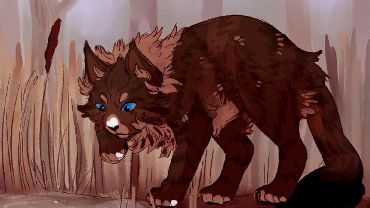 Warrior Cats Mothwing And Hawkfrost
