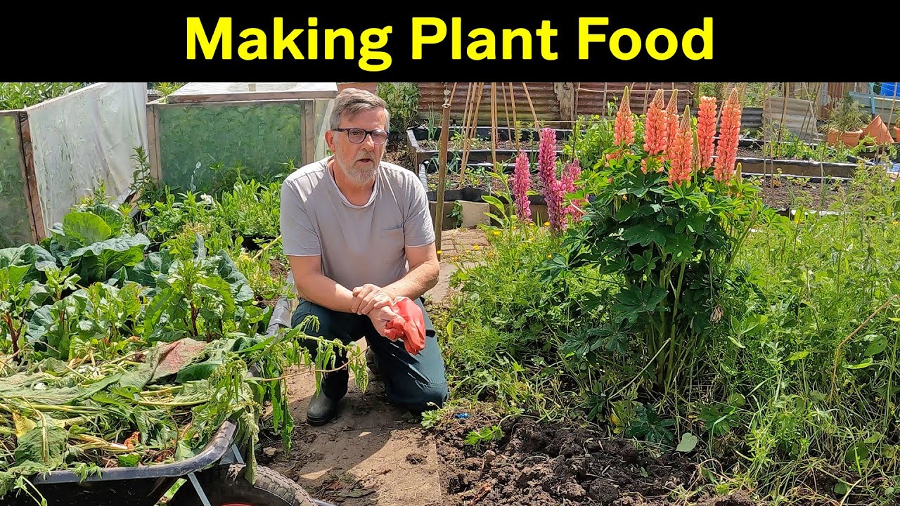 Free Plant Food | Make Your Own | Organic Plant Feed | Green Side Up ...