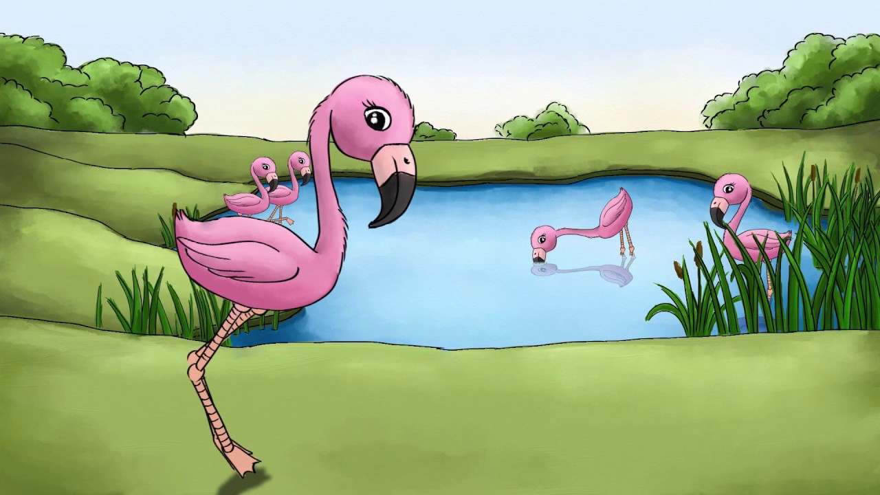 The CLUMSY FLAMINGO | Background painting and animation - YouTube