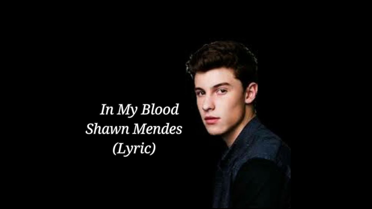 Shawn Mendes - In My Blood (Lyrics) - YouTube