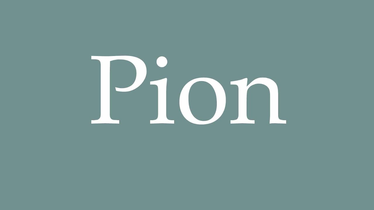 How to Pronounce ''Pion'' (Pawn) Correctly in French - YouTube