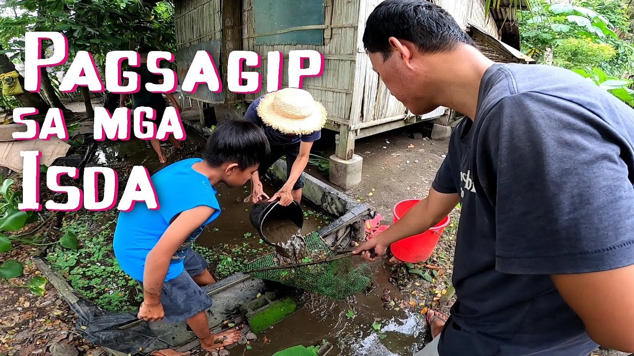 Pagsagip at paglipat ng aming mga isda - YouTube