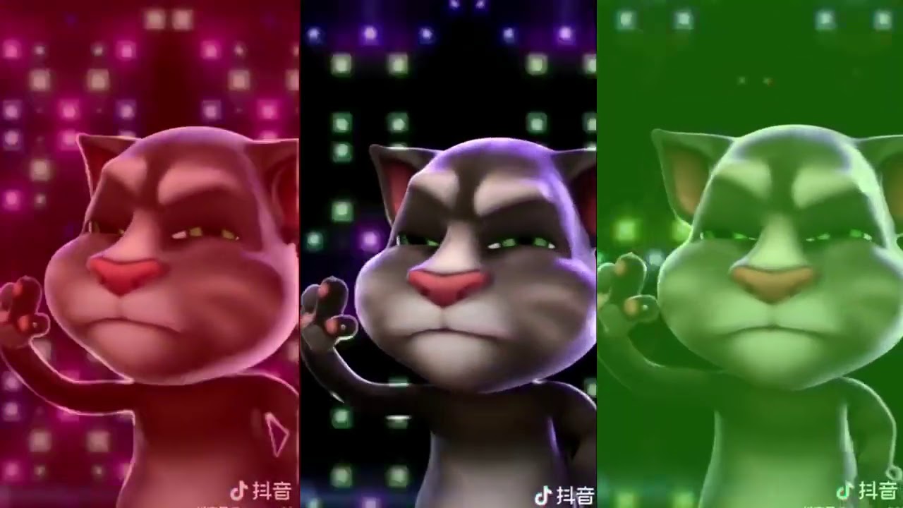 Mèo Talking Tom Cute Baby Dancing Tom Colors Tik Tok720P HD 1 - YouTube