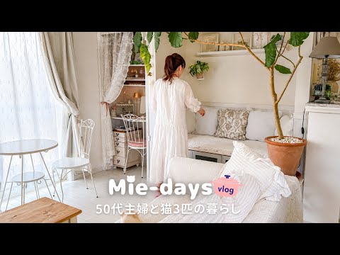 Aile için daha huzurlu bir ev | 50’li yaşlarda bir kadın ve 3 kedi