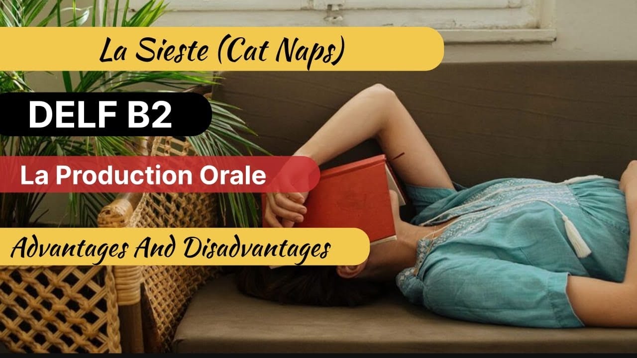 Production Orale delf B2 | DELF B2 production orale topic. - YouTube