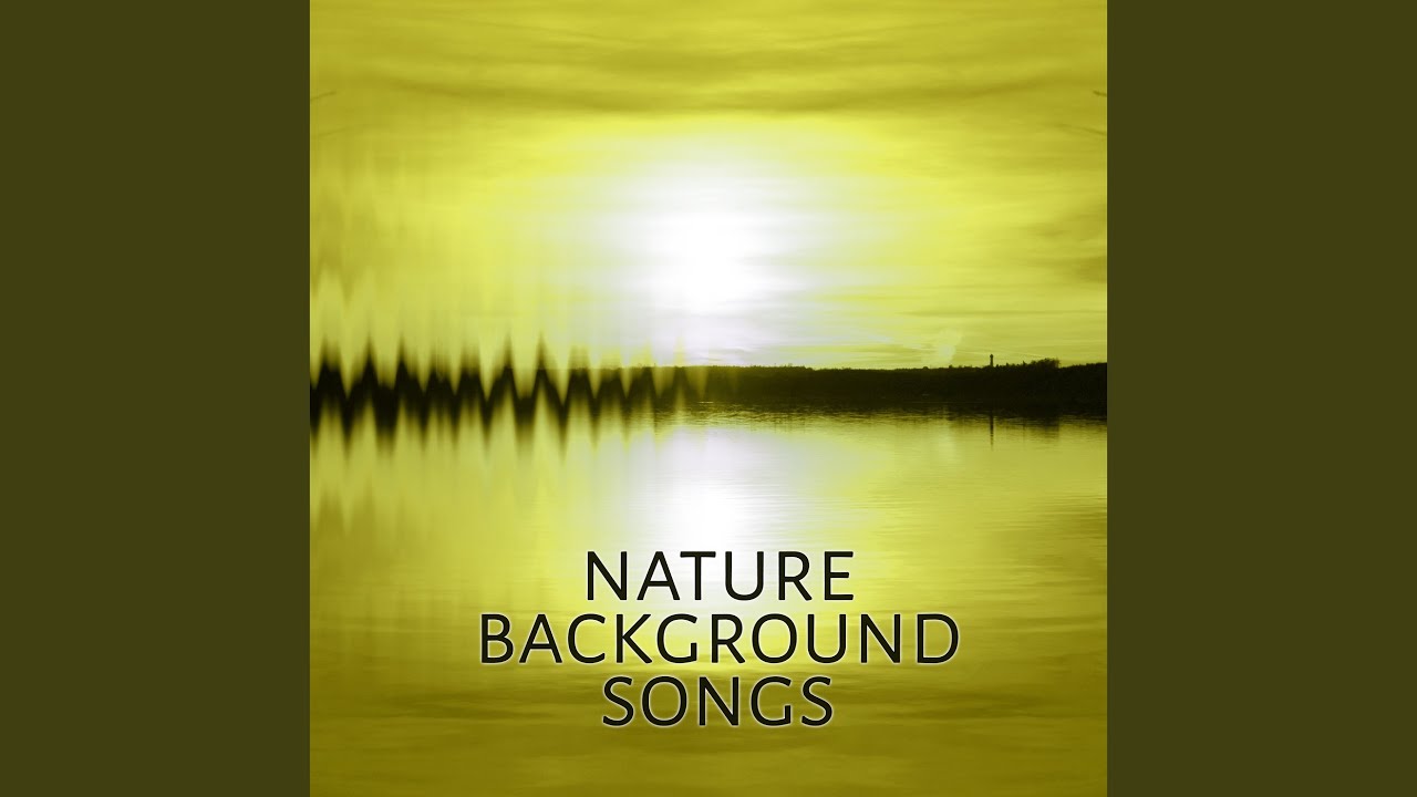 Nature Background Songs (Piano Soft) - YouTube