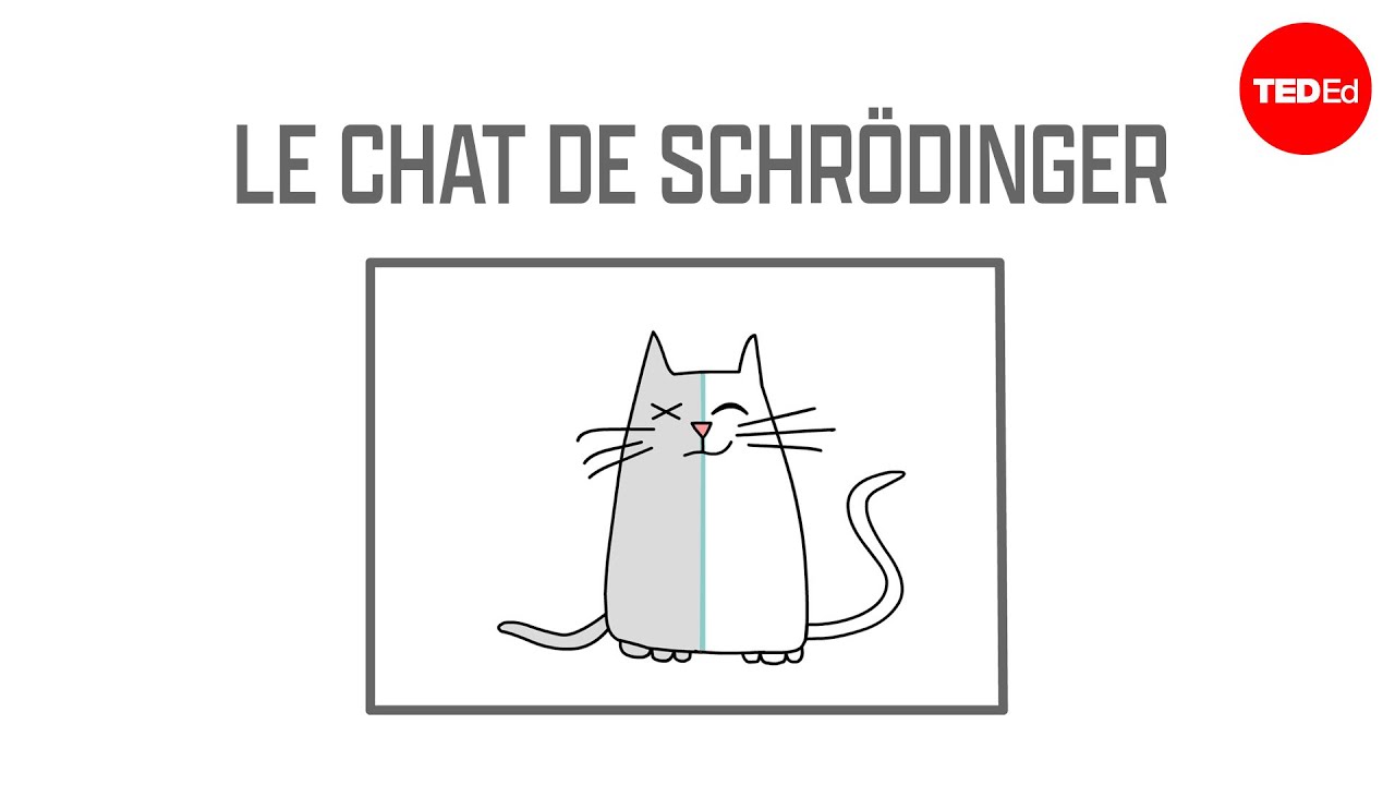 Le chat de Schrödinger : expérience de pensée en mécanique quantique ...