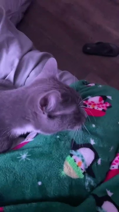 WHEN I SAID IM NOT FOOD AND IM NOT YOU I MEAN IM NOT HIM BECAUSE HE IS ...