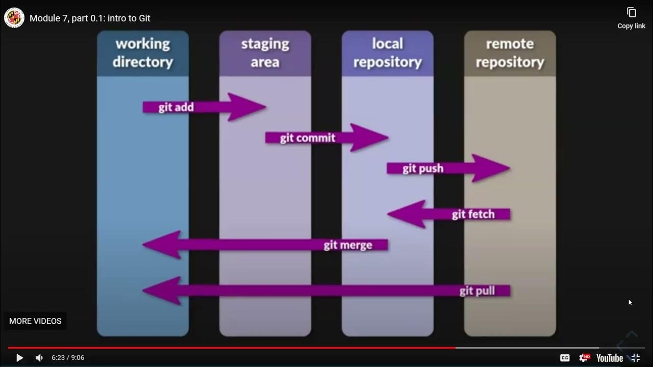 INST326 practice exam 4 review - YouTube