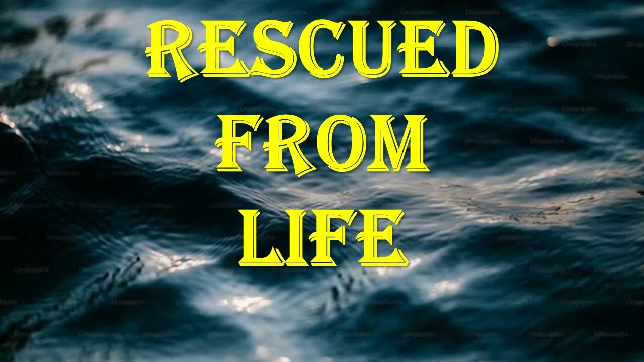 Rescued From Life - YouTube