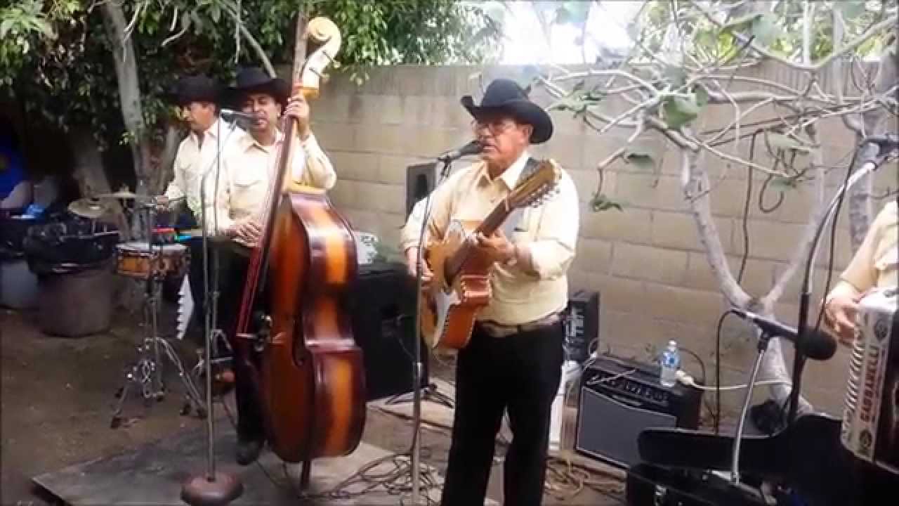 Puño de Tierra Chirrines Con Tololoche en Vivo Santa Ana CA, 818-290 ...