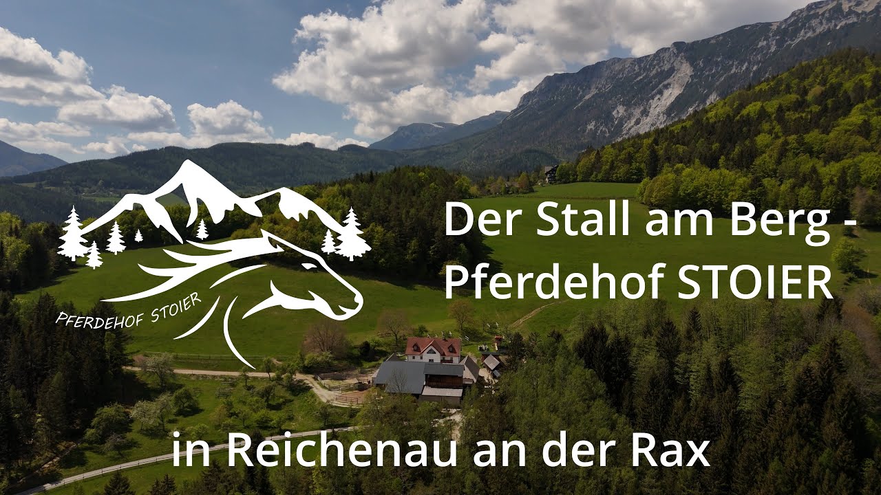 Pferdehof STOIER - www.stall-am-berg.at - YouTube