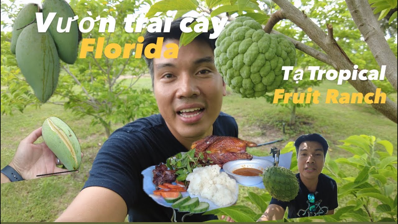 Vườn Trái cây Florida, Ta Tropical Fruit Ranch, và cuộc trò chuyện cùng ...