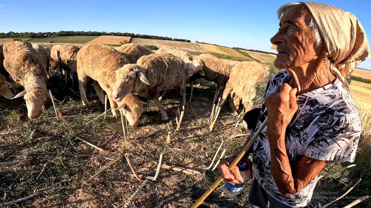 83 ÉVES MAMÁM KIJÁR A BIRKÁVAL. - YouTube