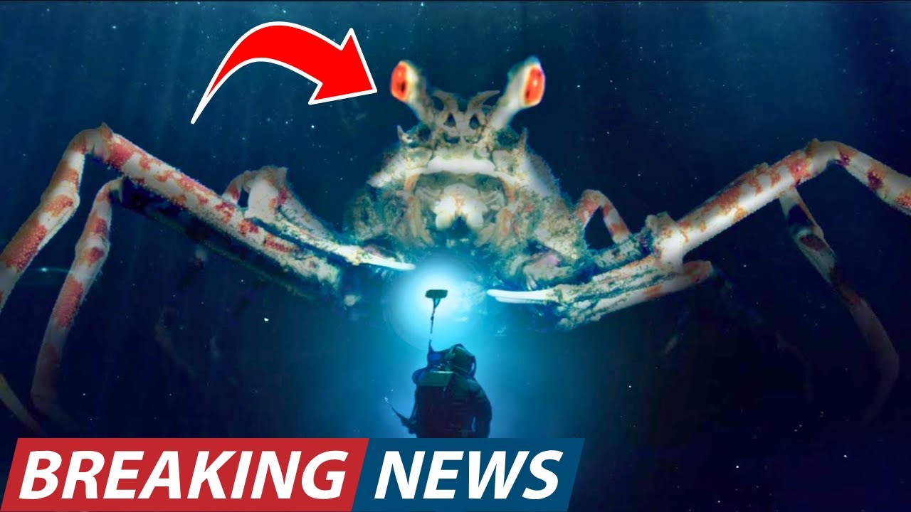 Panic Spreads After Scientists Discovered a Giant Crustacean With Spiny ...