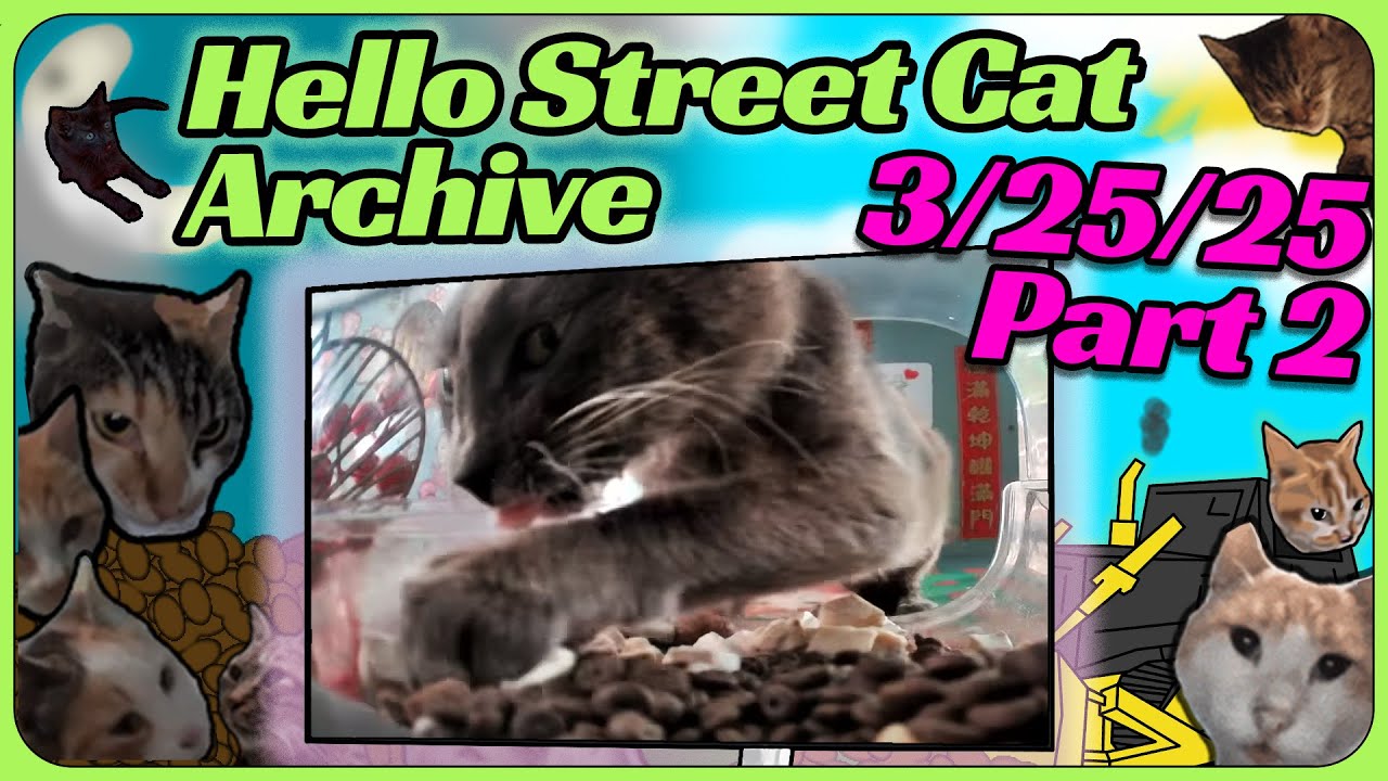 Lil Panther Sleeps Before Silly Feasting Antics! 🐈😸 3/25/25 Pt 2 - YouTube