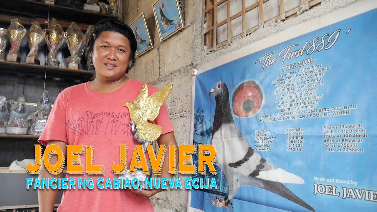 Full story ng Isang Fancier ng Cabiao, Nueva Ecija - YouTube