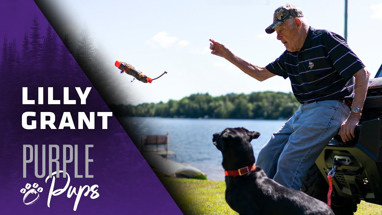 Purple Pups Featuring Bud Grant | Minnesota Vikings - YouTube