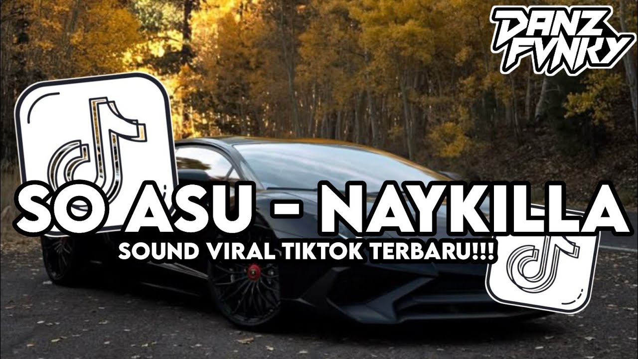 DJ SO ASU - NAYKILLA STYLE ENAFF COCOK BUAT NYANTAI VIRAL TIKTOK ...