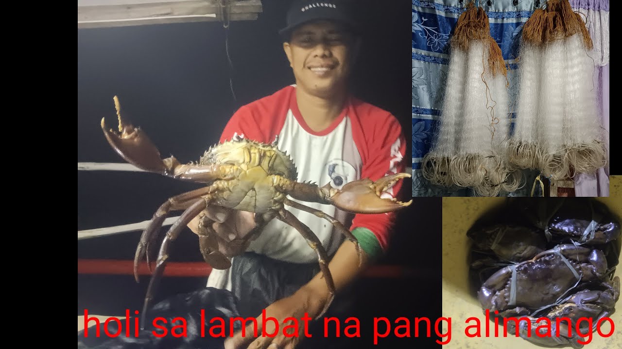 na gamit na ang pang alimango at pang alimasag - YouTube
