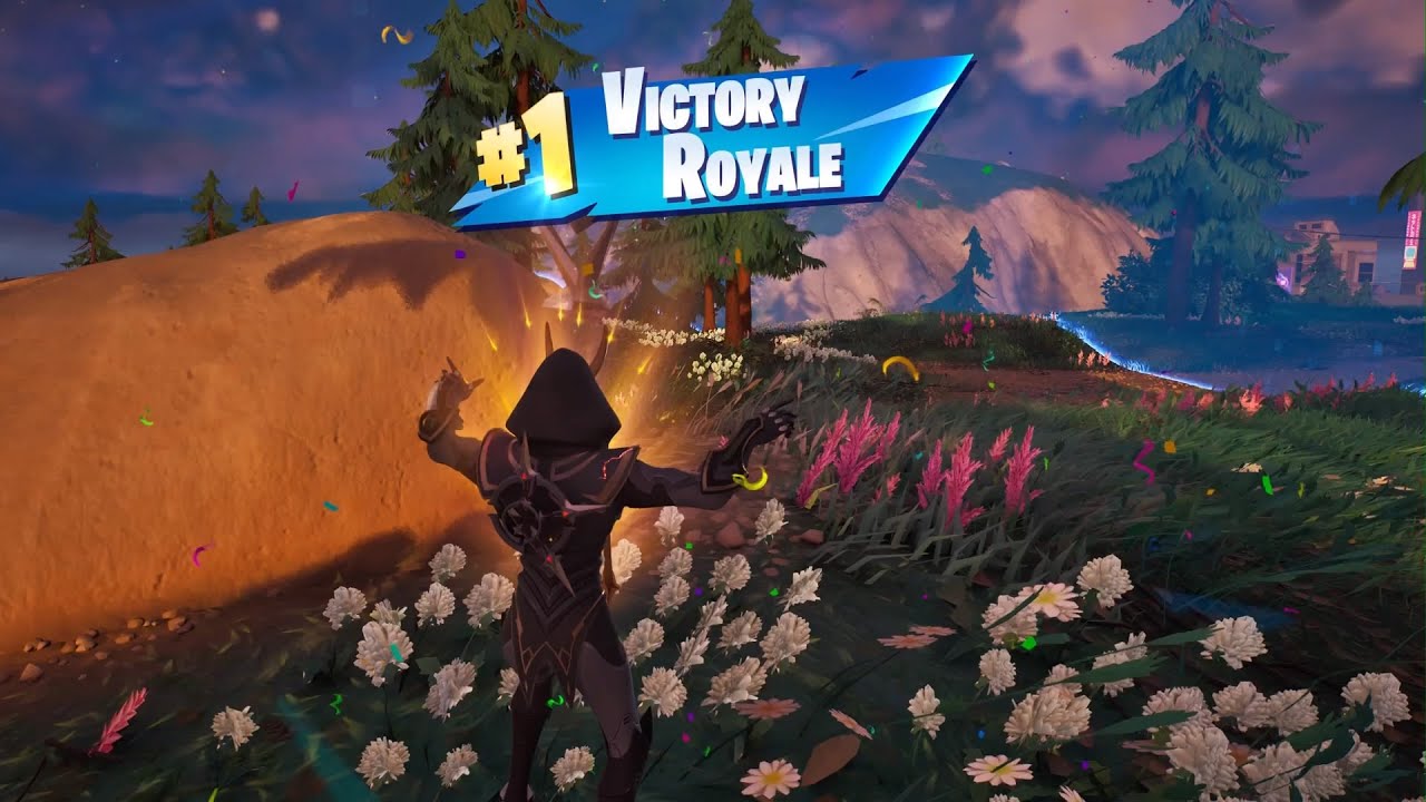 STRAY Skin Solo Gameplay in FORTNITE! - YouTube